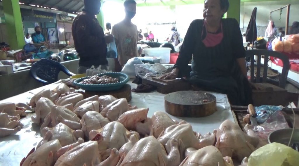Info harga ayam Hari ini | Banjarmasin
